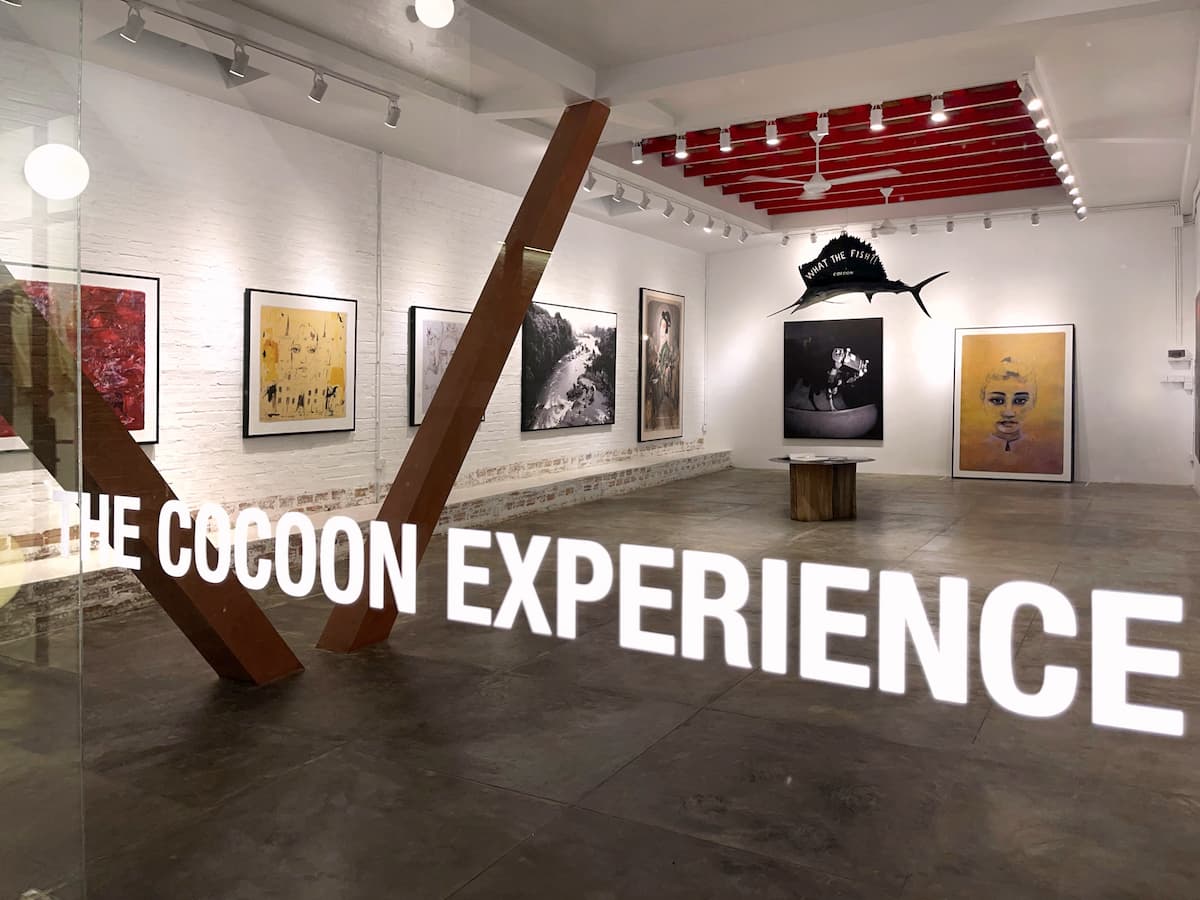 Cocoon limited for Skateboarding, Art, and Fashion