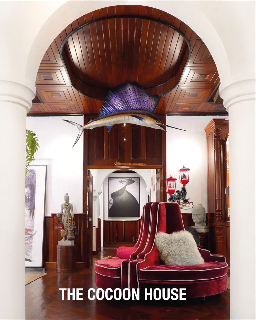 Cocoon limited for Skateboarding, Art, and Fashion