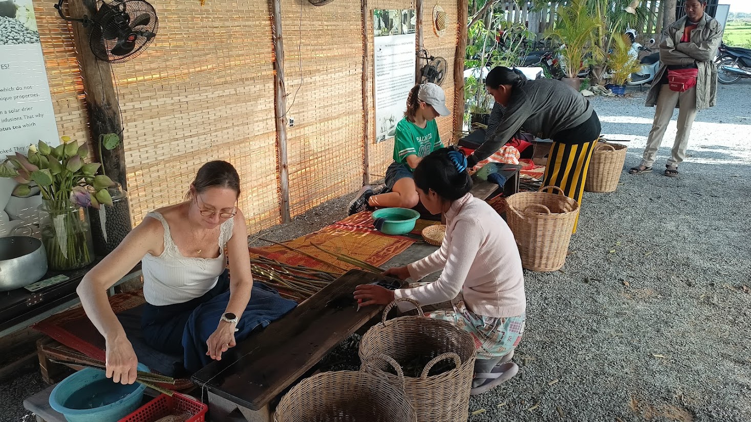 Samatoa: Lotus Farm Siem Rep